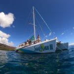 From Ka'anapali: West Maui Half-Day Snorkel Tour w/ Food - Why This Tour Stands Out
