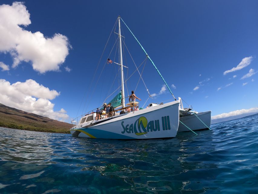 From Ka'anapali: West Maui Half-Day Snorkel Tour w/ Food - Why This Tour Stands Out