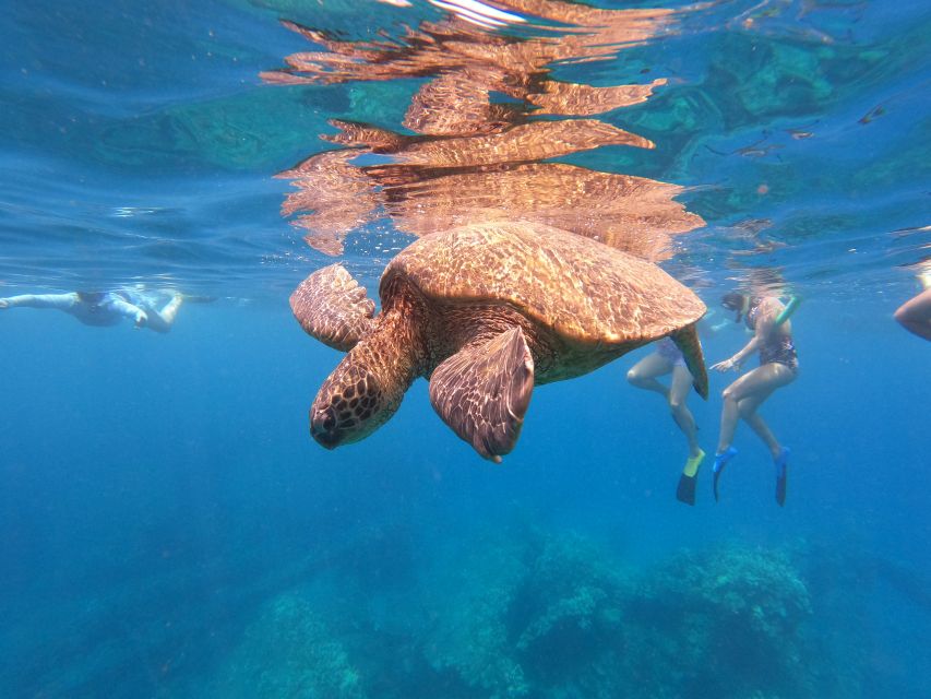From Ka'anapali: West Maui Half-Day Snorkel Tour w/ Food - Practical Tips for Your Maui Snorkel Day