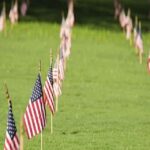 From Kauai: USS Arizona Memorial and Honolulu City Tour - Who This Tour Is Best For