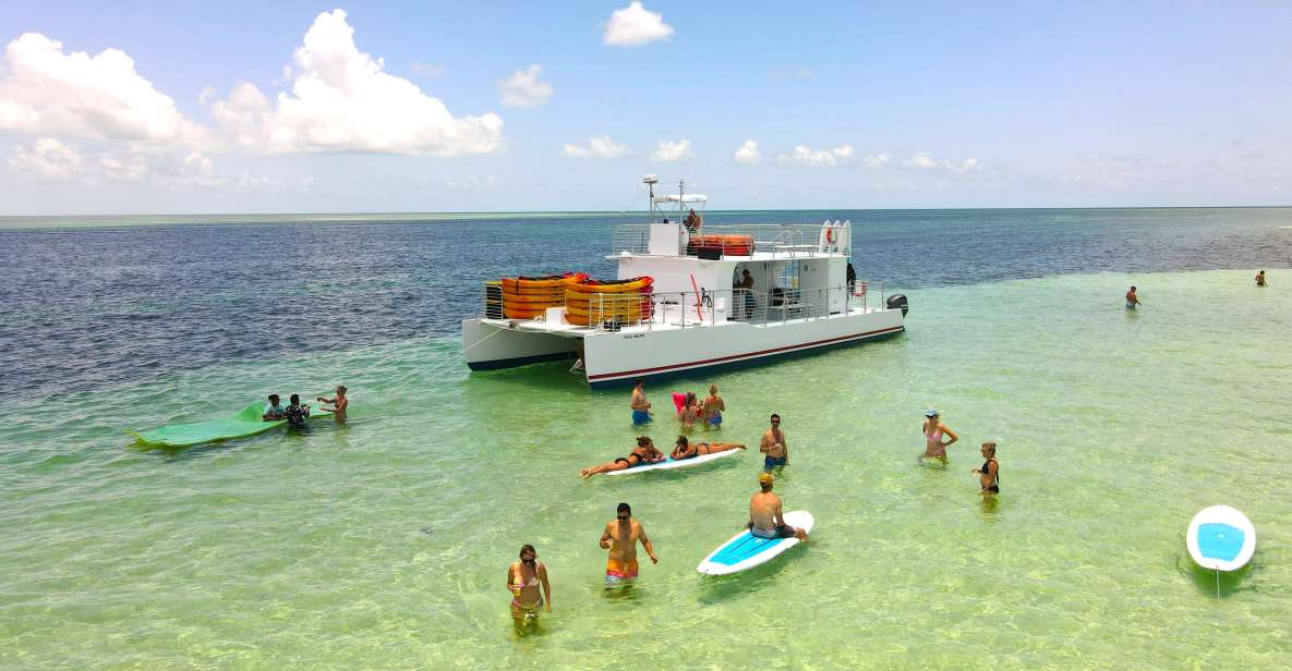 From Key West: Dolphin Watching Tour with Lunch & Drinks - Key Points