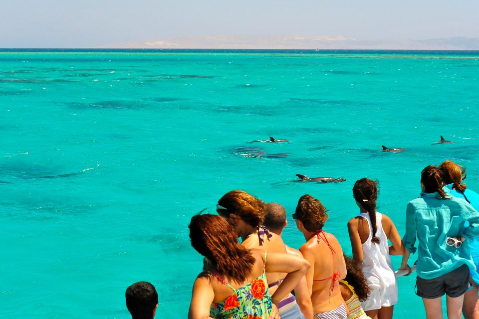 From Key West: Dolphin Watching Tour with Lunch & Drinks - What to Expect on the Tour