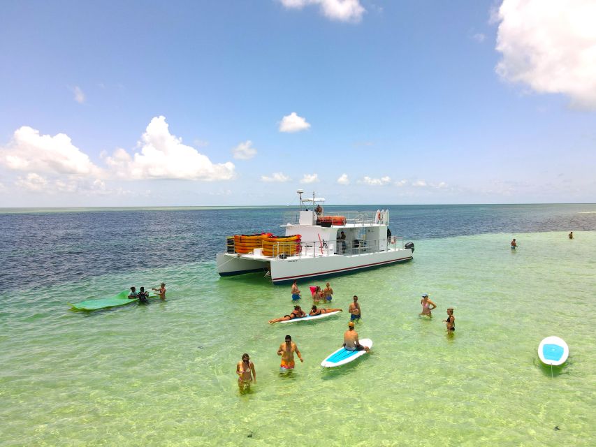 From Key West: Dolphin Watching Tour with Lunch & Drinks - Who Will Love This Tour?