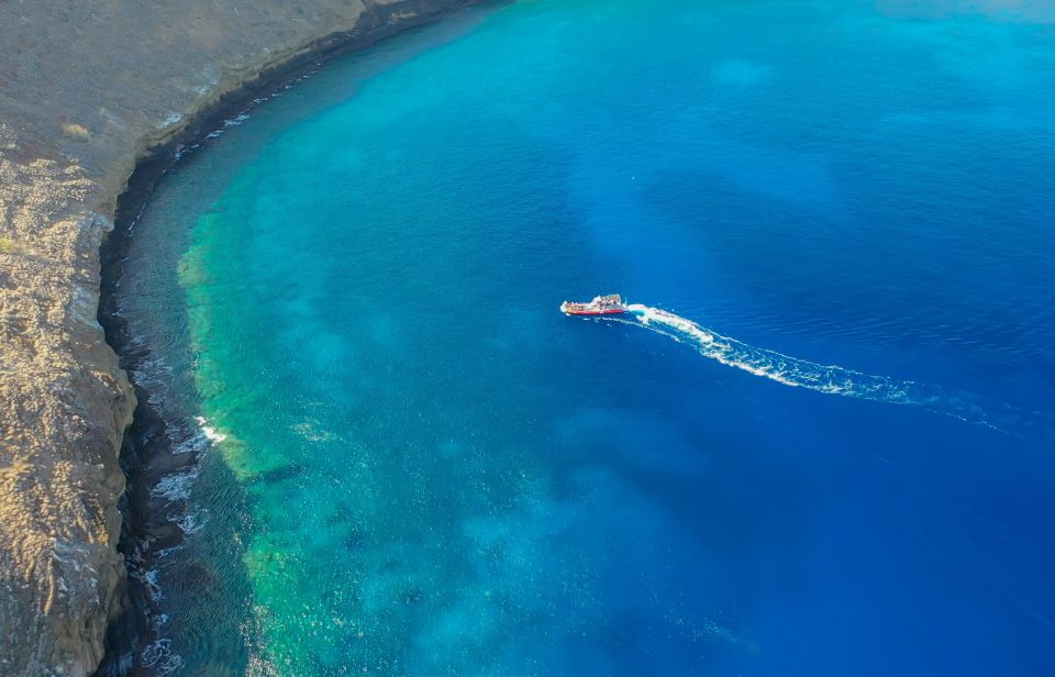 From Kihei: Molokini Crater and Turtle Town Snorkeling - The Itinerary and Why It Matters