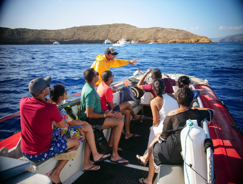 From Kihei: Molokini Crater and Turtle Town Snorkeling - What To Expect: A Closer Look