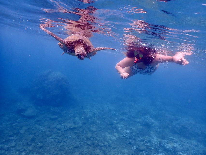 From Kihei: Molokini Crater and Turtle Town Snorkeling - Pricing and Value