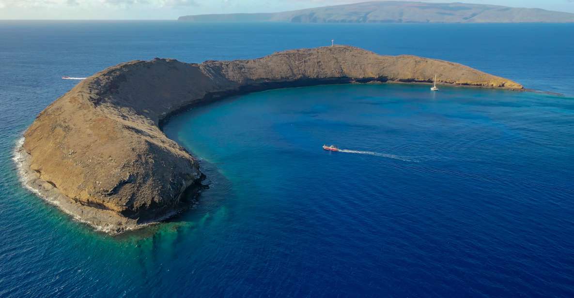From Kihei: Molokini Crater and Turtle Town Snorkeling - Final Thoughts