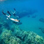 From Kihei: Molokini Snorkel 2-Hour Adventure - Highlights of the Experience