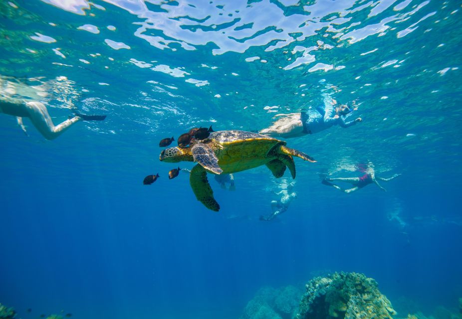 From Kihei: Molokini Snorkel 2-Hour Adventure - The Value of This Tour