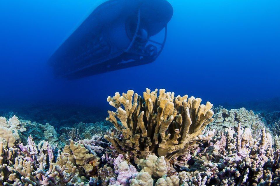 From Kona: Big Island Underwater Submarine Adventure - Why This Tour Works Well for Travelers