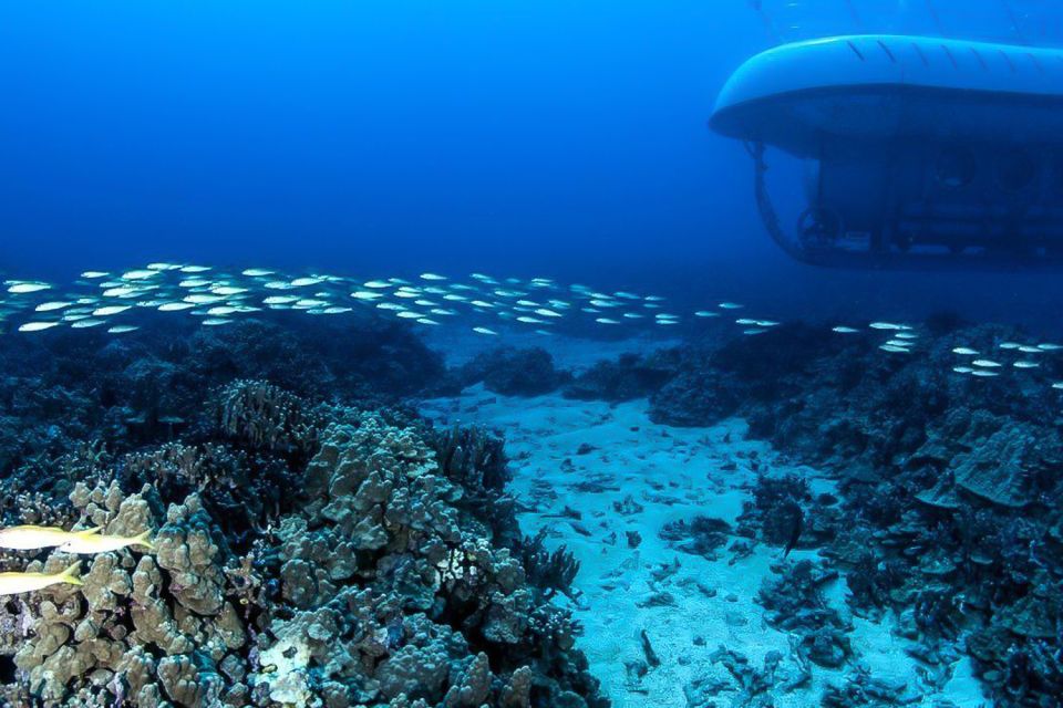From Kona: Big Island Underwater Submarine Adventure - FAQ: Your Questions Answered