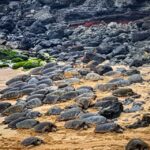 From Lahaina, Maui: Road to Hana Tour - Frequently Asked Questions