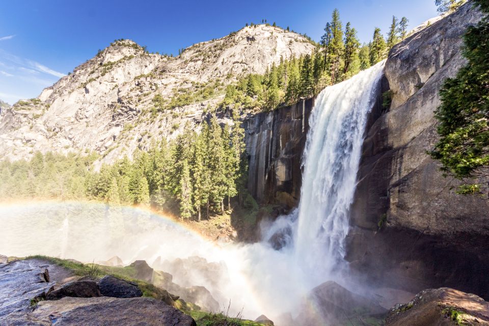 From Lake Tahoe: Yosemite National Park Day Trip with Lunch - The Experience of a Guided Tour