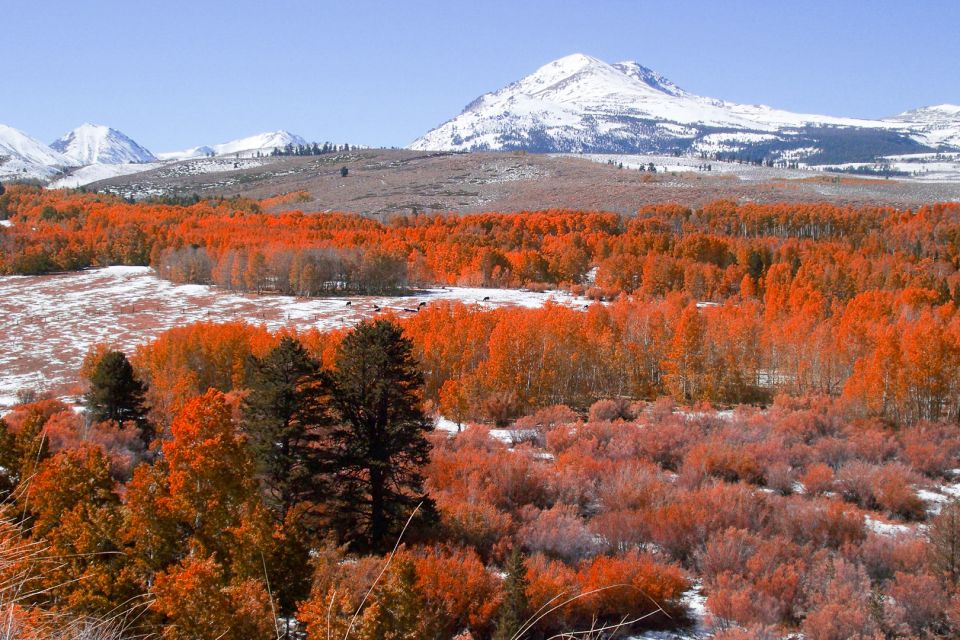 From Lake Tahoe: Yosemite National Park Day Trip with Lunch - Final Thoughts