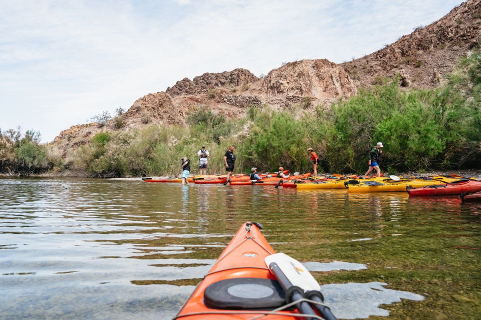 From Las Vegas: Black Canyon Half-Day Kayak Tour - An In-Depth Look at the Black Canyon Kayak Tour