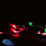 From Las Vegas: Black Canyon Twilight Kayak Tour - Final Thoughts