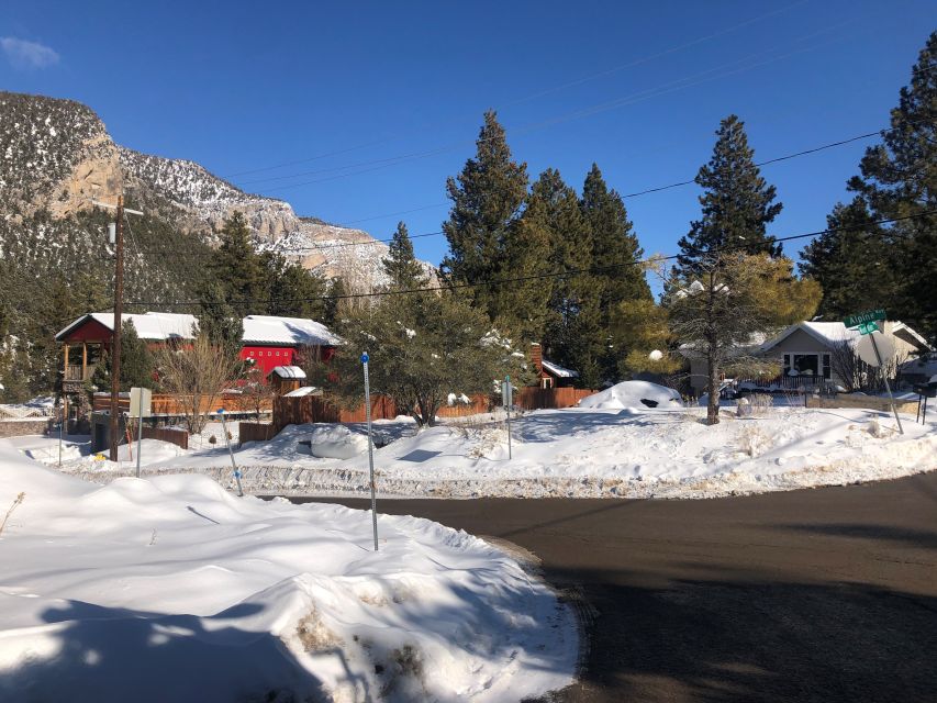 From Las Vegas: Day Trip to Mount Charleston Resort - The Value of This Tour