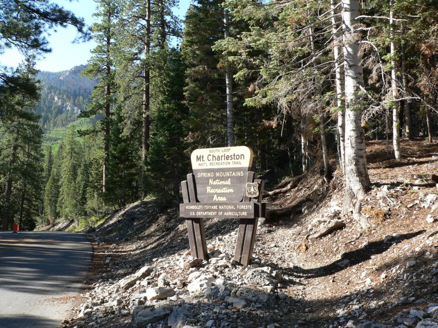 From Las Vegas: Day Trip to Mount Charleston Resort - Who Is This Tour Best Suited For?