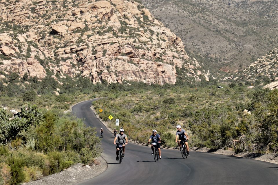 From Las Vegas: Red Rock Canyon Electric Bike Hire - Who Will Love This Tour?
