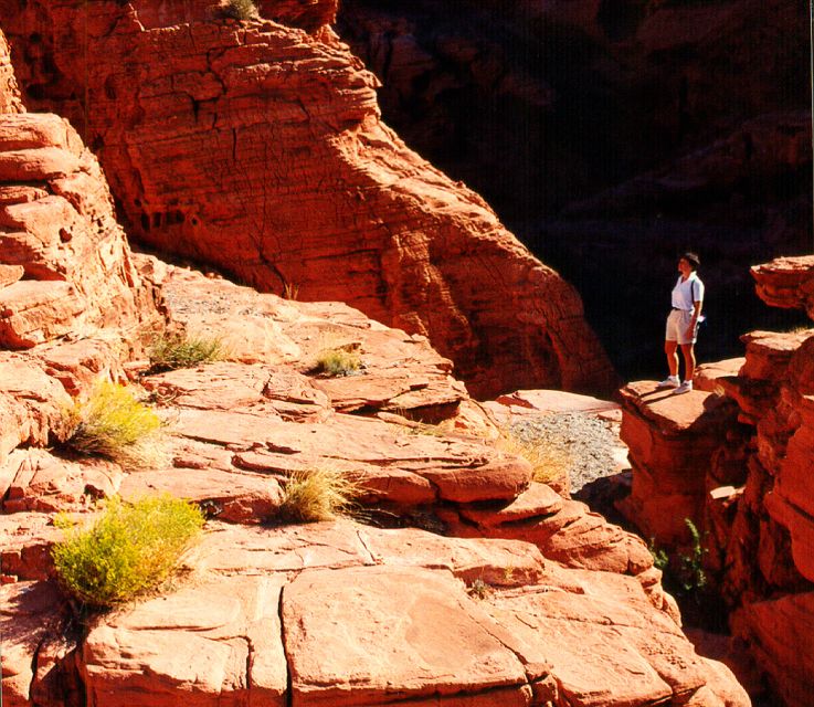 From Las Vegas: Valley of Fire Tour - An In-Depth Look at the Valley of Fire Tour