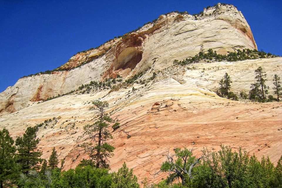 From Las Vegas: VIP Small-Group Zion National Park Adventure - What to Expect on the Tour
