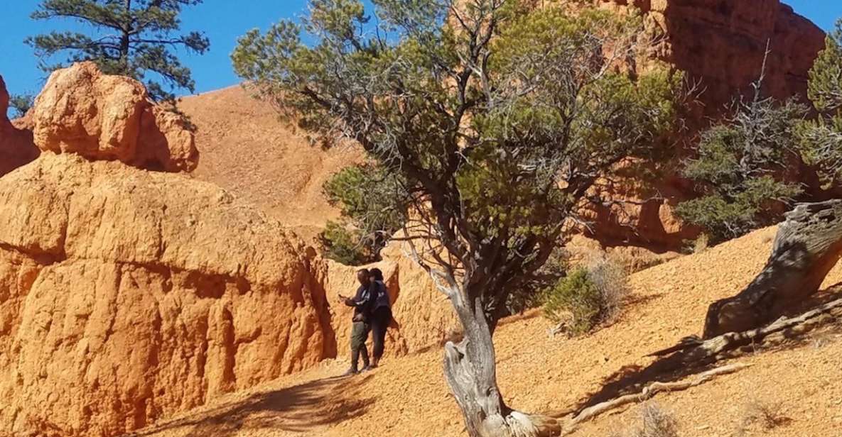 From Las Vegas: Zion and Bryce Canyon Guided Day Tour - Who Is This Tour Best For?