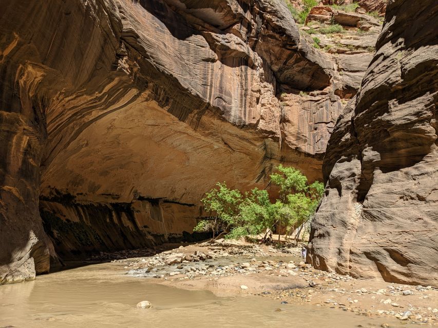From Las Vegas: Zion National Park Small Group Adventure - Exploring the Zion National Park Small Group Adventure from Las Vegas: A Complete Review