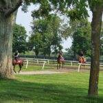 From Lexington: Kentucky Horse Farms Tour - Who Will Love This Tour?