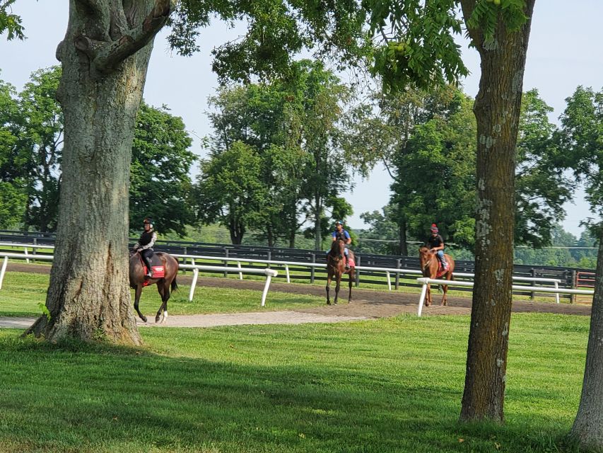 From Lexington: Kentucky Horse Farms Tour - Who Will Love This Tour?