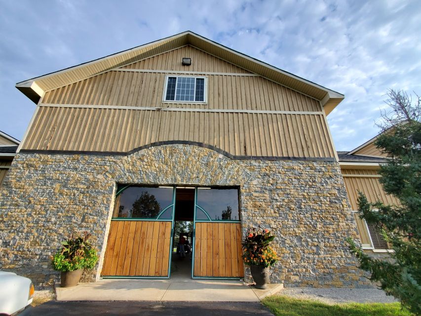 From Lexington: Kentucky Horse Farms Tour - Practical Details Recap