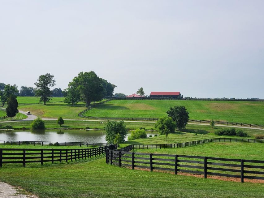 From Lexington: Kentucky Horse Farms Tour - Frequently Asked Questions