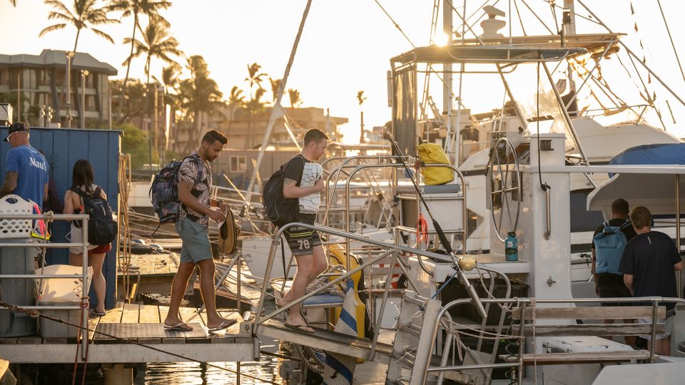 From Ma'alaea: Afternoon Whale Watch Tour Aboard the Malolo - An In-Depth Look at the Whale Watching Experience