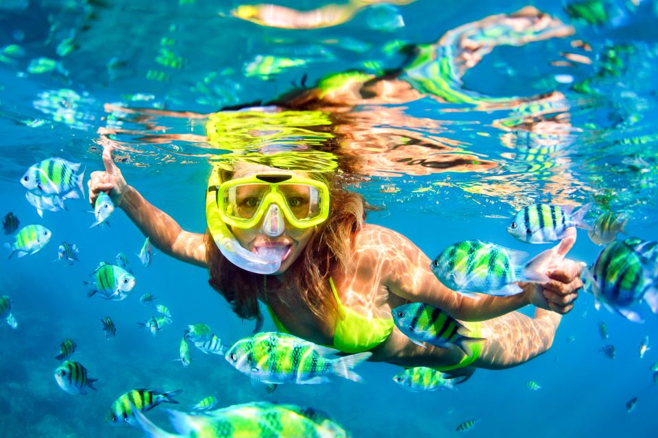 From Ma'alaea: AM Turtle Town Snorkel Aboard Quicksilver - The Sum Up  