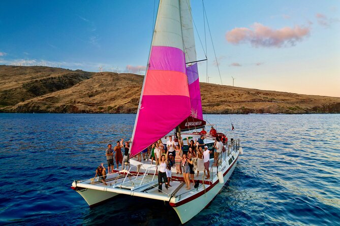 From Maalaea Harbor: Whale Watching Tours Aboard Winona Catamaran - What to Expect on the Winona Whale Watching Tour