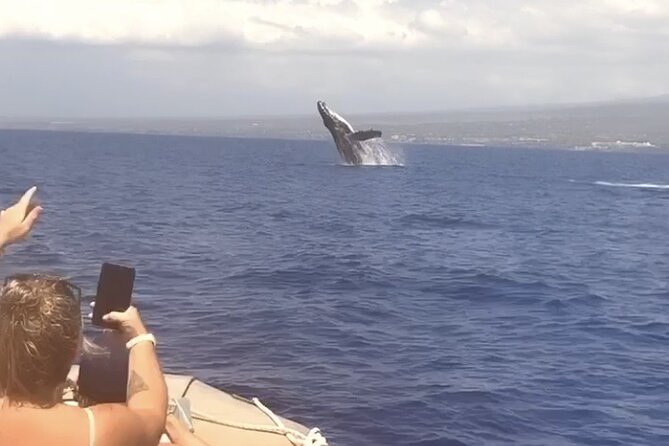 From Maalaea Harbor: Whale Watching Tours Aboard Winona Catamaran - The Crew and Customer Service