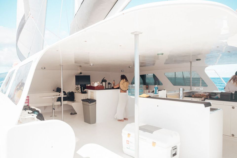 From Ma'alaea: Maui Sunset Cruise with Drinks and Snacks - The Experience: A Relaxing Voyage on the Waters of Maui
