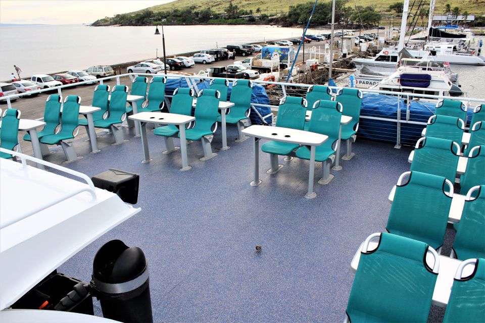 From Ma'alaea: Thanksgiving Dinner Cruise Aboard the Calypso - Practical Details and Considerations