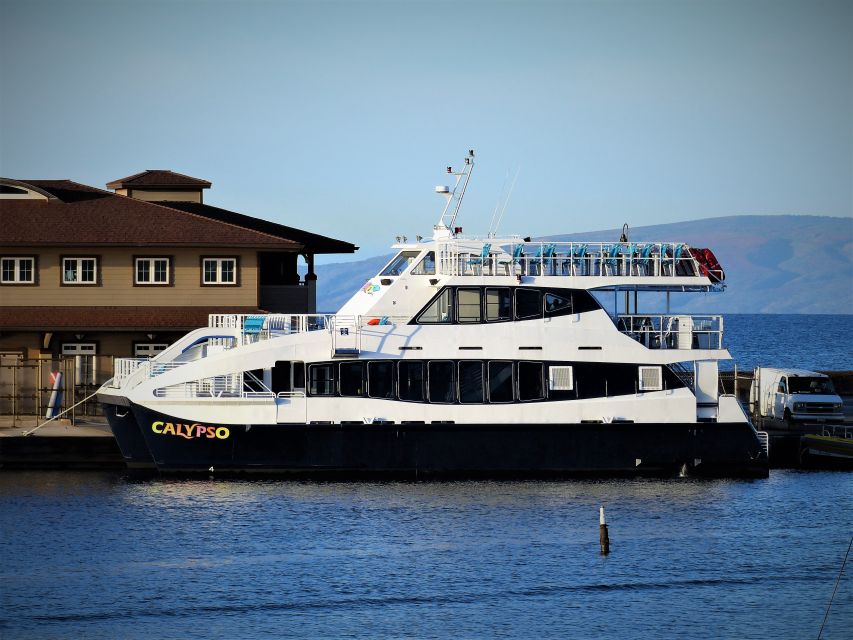 From Ma'alaea: Thanksgiving Dinner Cruise Aboard the Calypso - Final Thoughts: Is This Cruise Worth It?
