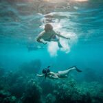 From Maalaea: Turtle Town 3-Hour Snorkel and Sail Adventure - What to Expect from Each Stop