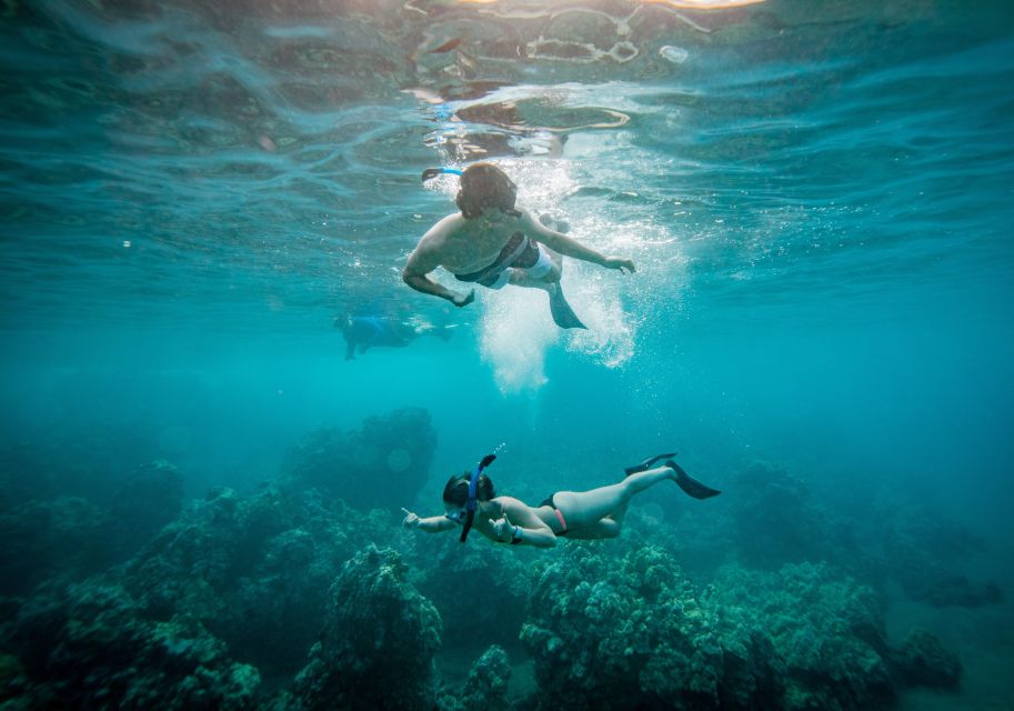 From Maalaea: Turtle Town 3-Hour Snorkel and Sail Adventure - What to Expect from Each Stop