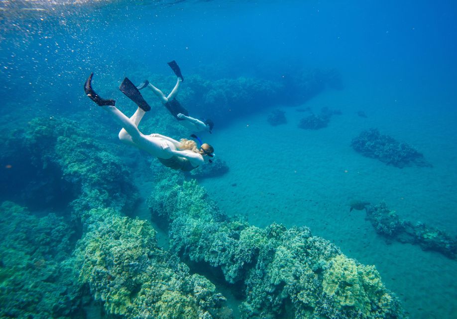 From Maalaea: Turtle Town 3-Hour Snorkel and Sail Adventure - Practical Tips for Your Trip
