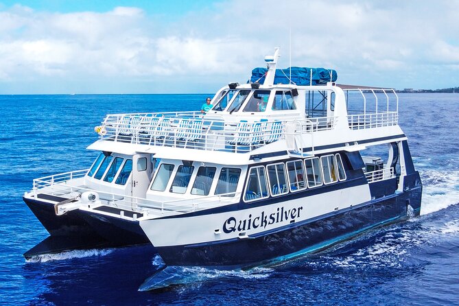 From Maalaea: Whale Watching Tour Aboard the Quicksilver - Whats Included and Whats Not
