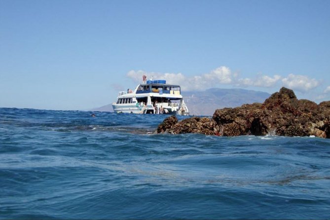 From Maalaea: Whale Watching Tour Aboard the Quicksilver - Authentic Experiences from Past Travelers