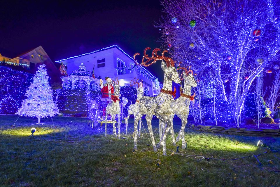 From Manhattan: Dyker Heights Holiday Bus Tour - The Sum Up: Who Is This Tour For?