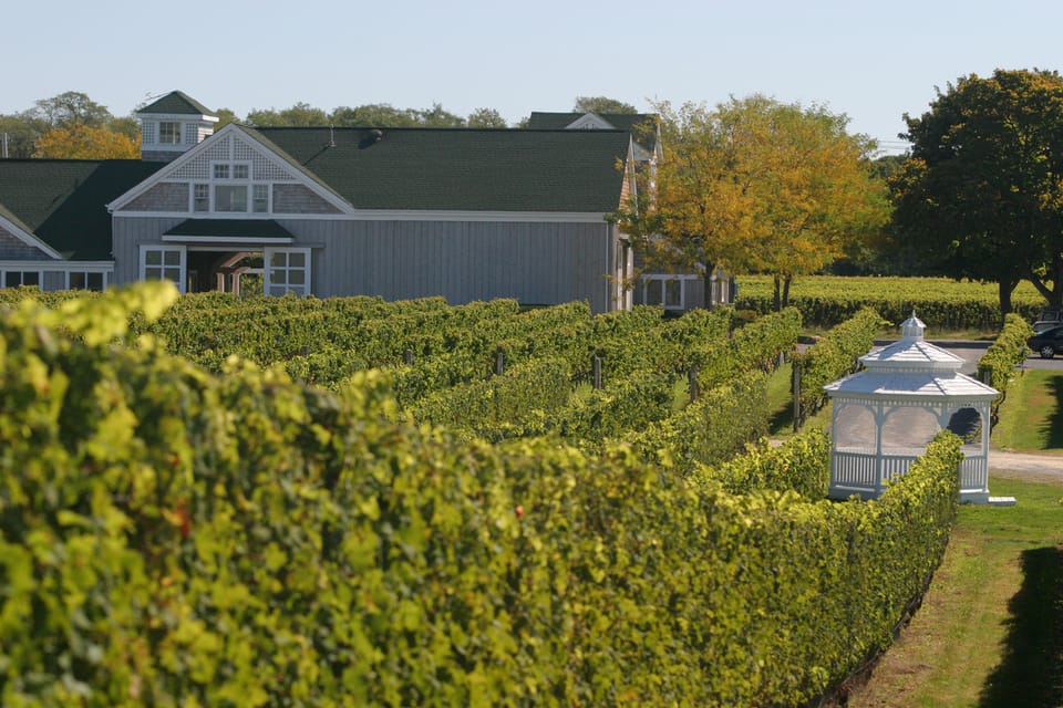 From Mattituck: Guided Brewery and Vineyard Tour by Bicycle - Key Points