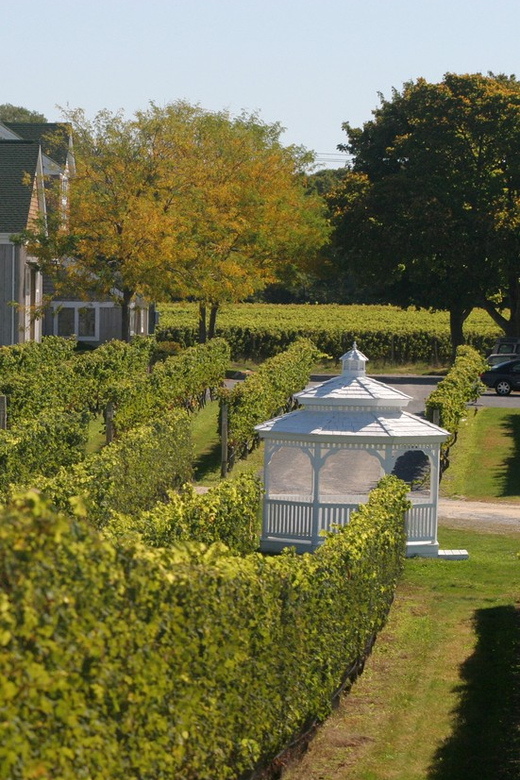 From Mattituck: Guided Brewery and Vineyard Tour by Bicycle - Exploring Long Island’s North Fork by Bicycle