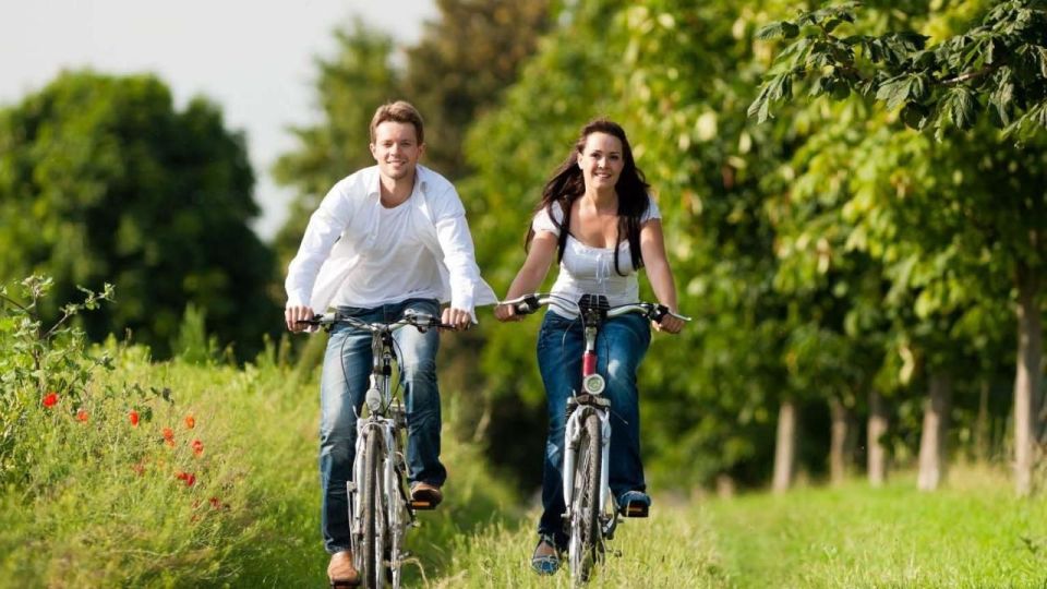 From Mattituck: North Fork Area Bike Tour with Food Tasting - Exploring the North Fork Area Bike Tour: A Detailed Look