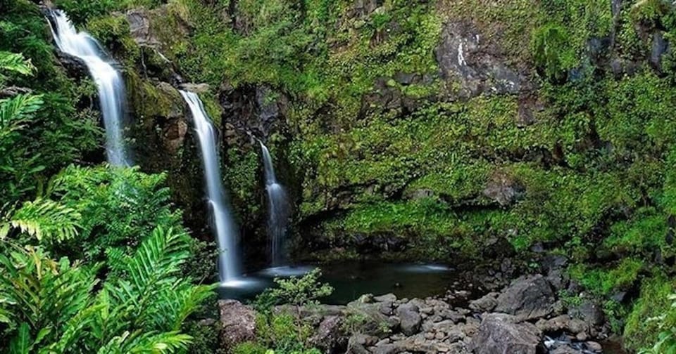 From Maui: Road to Hana Rainforest and Waterfall Experience - Authenticity and Reviews: What Past Travelers Say