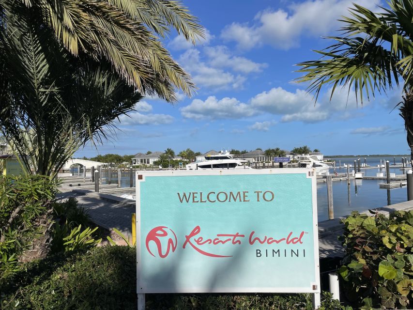From Miami: Bimini or Grand Bahama Day Trip by Ferry - Key Points