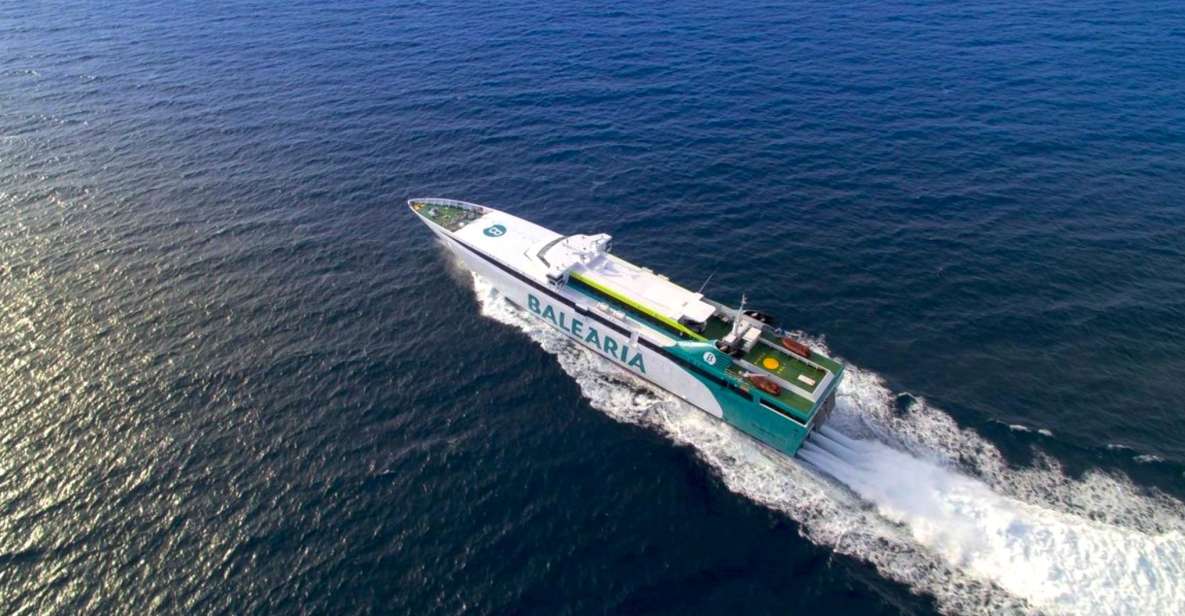 From Miami: Bimini or Grand Bahama Day Trip by Ferry - An In-Depth Look at the Tour Experience